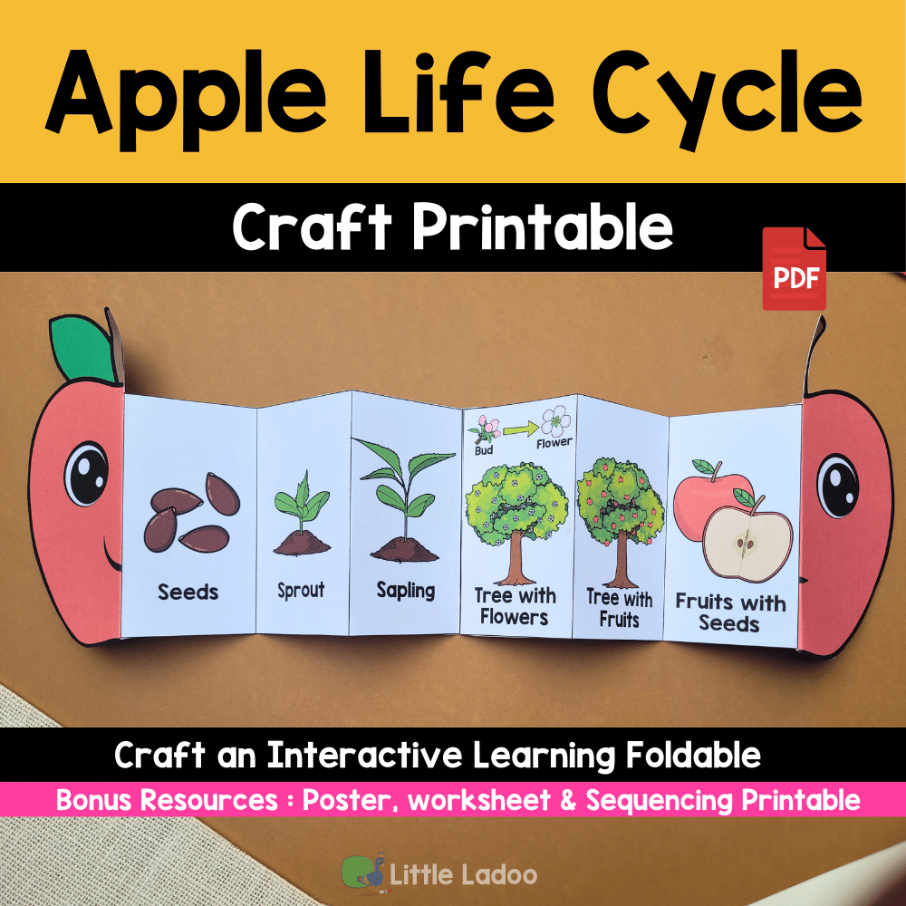 Apple Life Cycle Craft Printable – LittleLadoo
