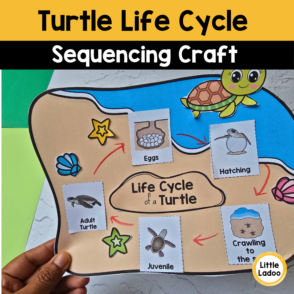 Turtle Life Cycle Craft | Sequencing Cut and Paste Activity – LittleLadoo