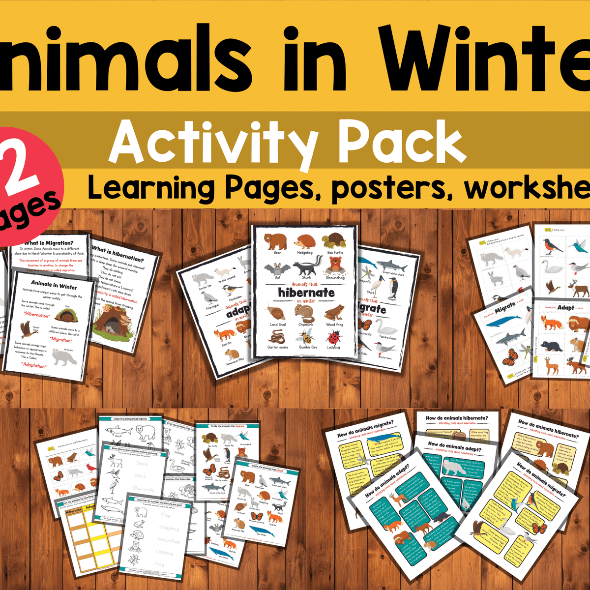 Animals in Winter - Interactive Learning Pack – LittleLadoo