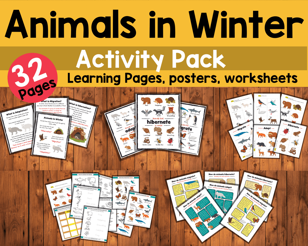 Animals in Winter - Interactive Learning Pack – LittleLadoo