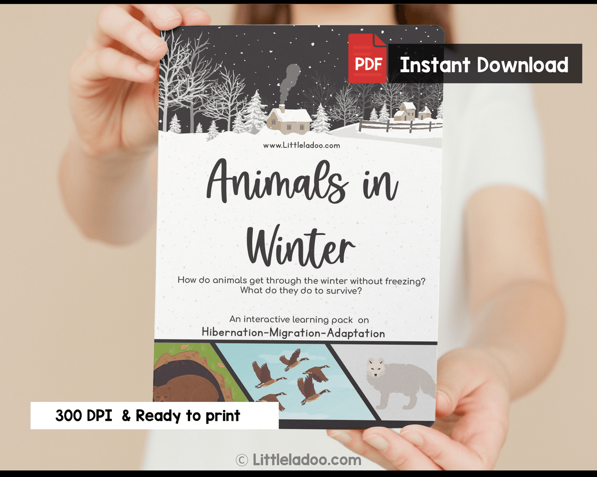 Animals in Winter - Interactive Learning Pack – LittleLadoo