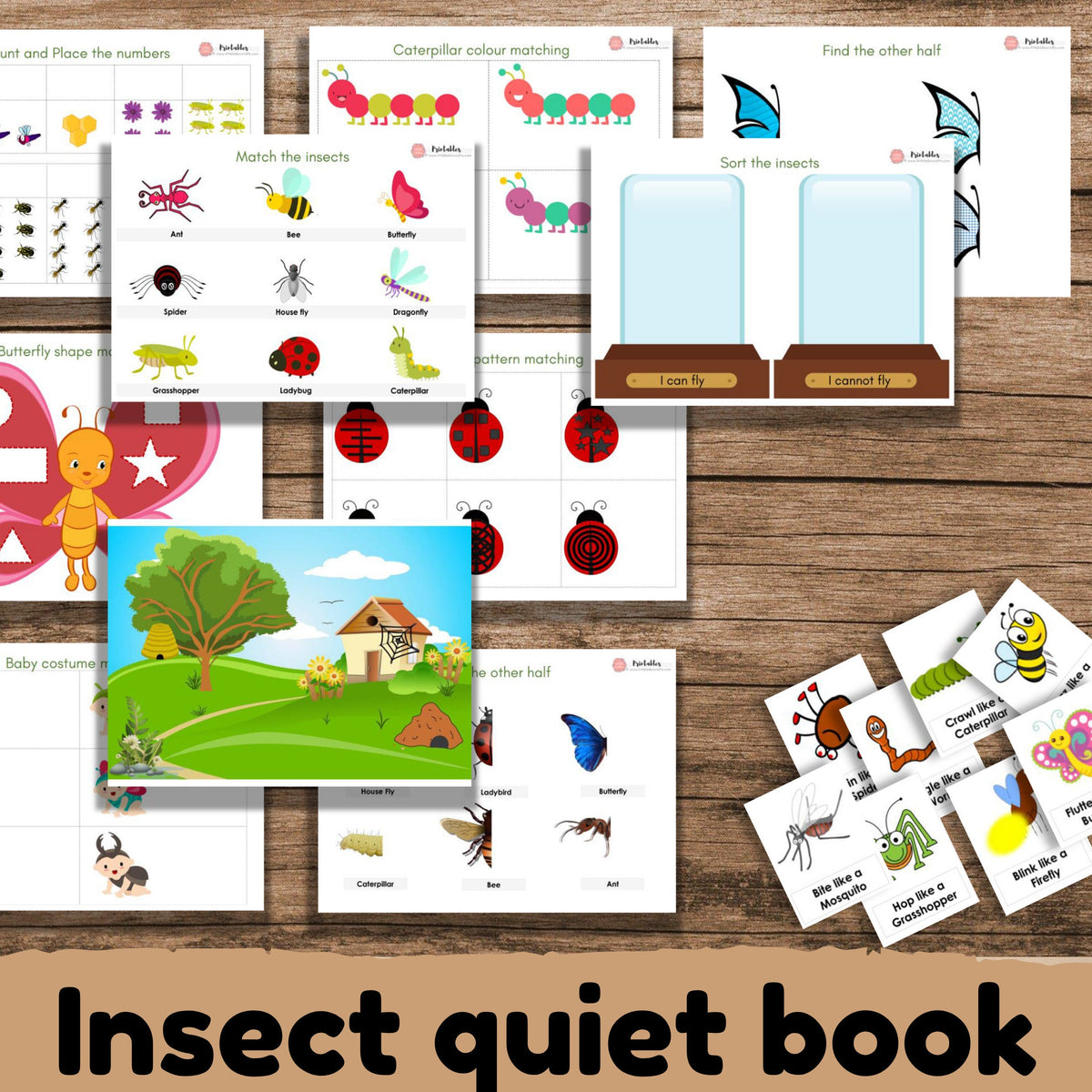 Insect Busy Book {10 activities} – LittleLadoo