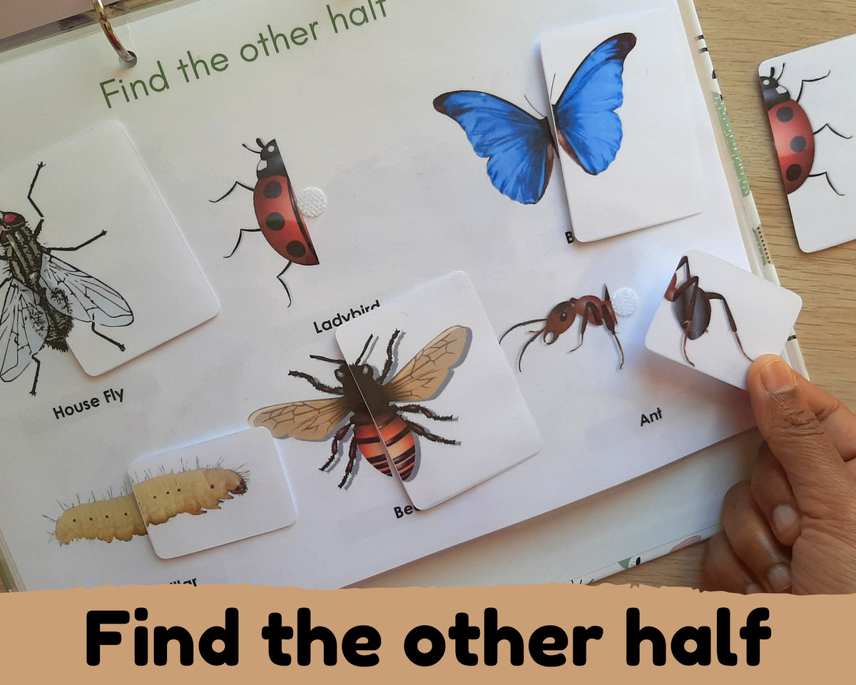 Insect Busy Book {10 activities} – LittleLadoo