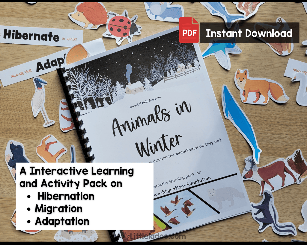 Animals in Winter - Interactive Learning Pack – LittleLadoo