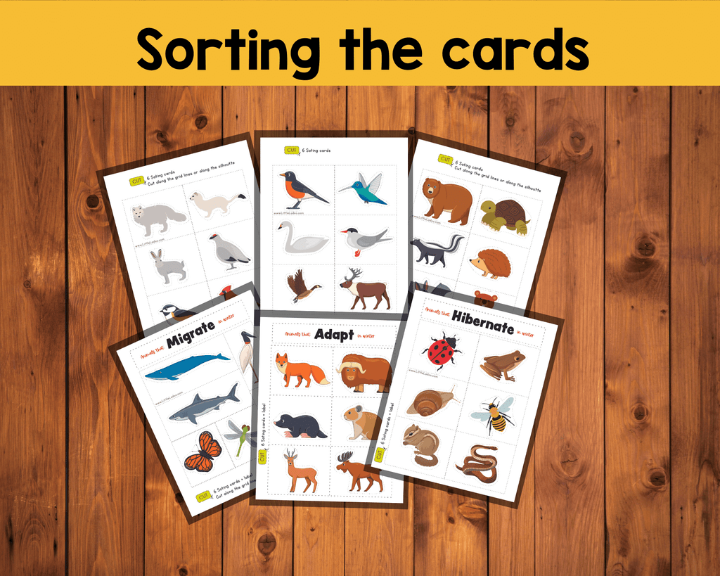 Animals in Winter - Interactive Learning Pack – LittleLadoo