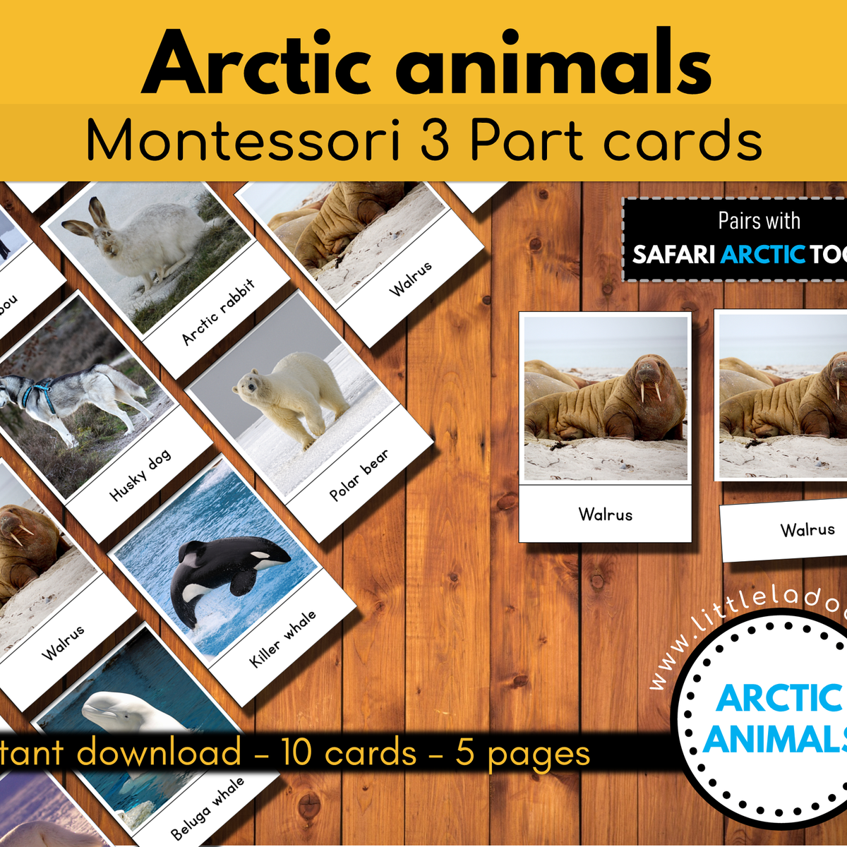 Arctic Animals 3 Part Cards {10 cards} – LittleLadoo