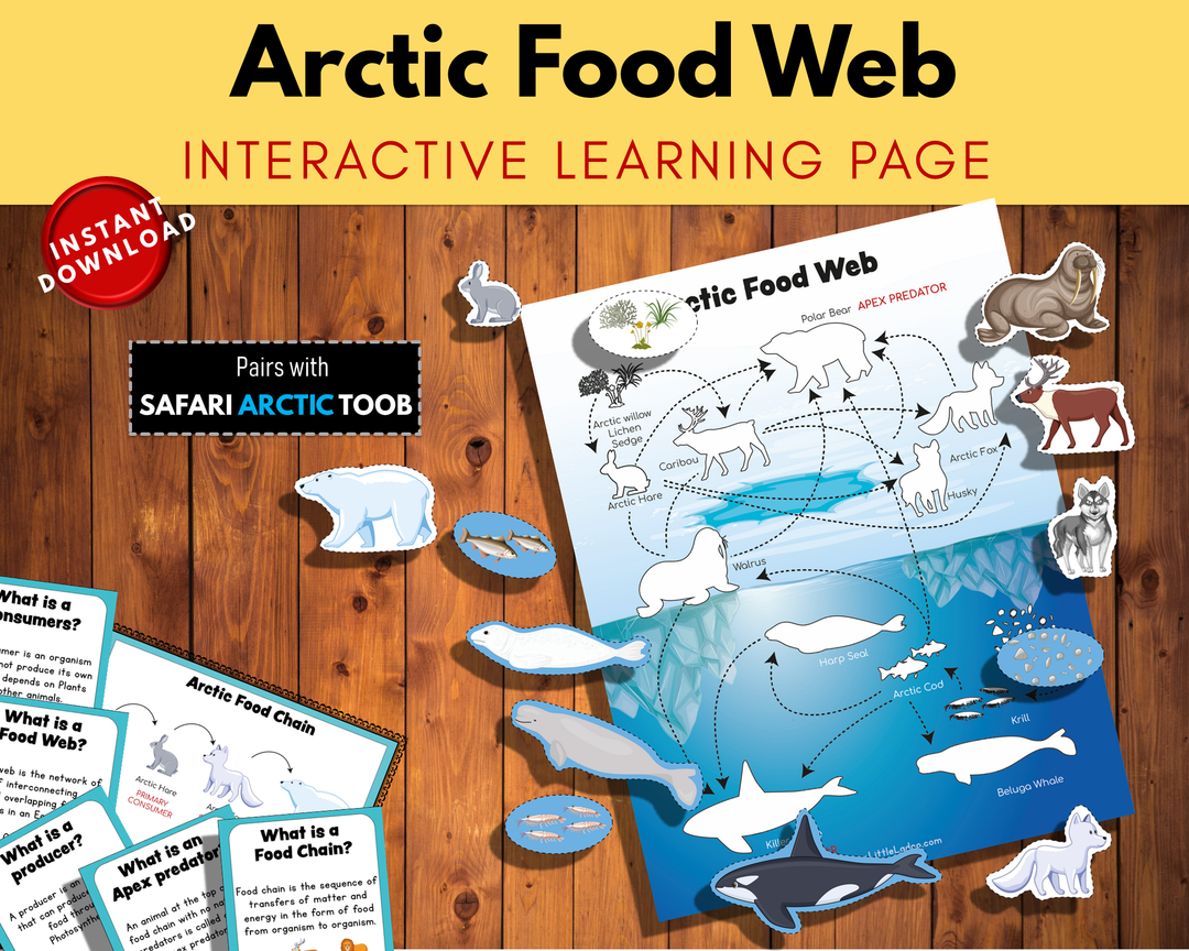 Arctic Food Chain The Bottom Of The Arctic's Food Web Is Of Top