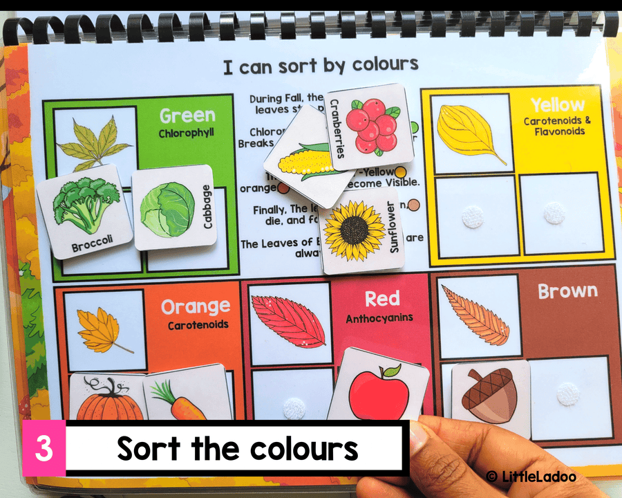 Fall Busy Book Printable {11 Activities} – LittleLadoo