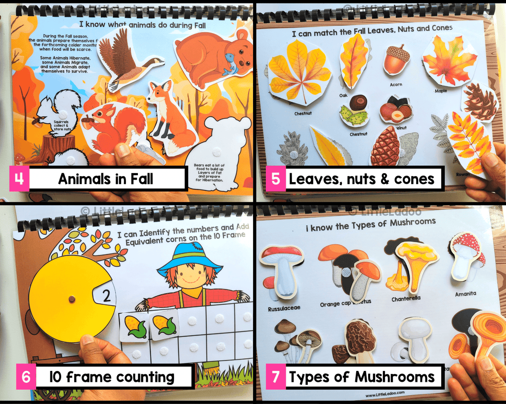 Fall Busy Book Printable {11 Activities} – LittleLadoo