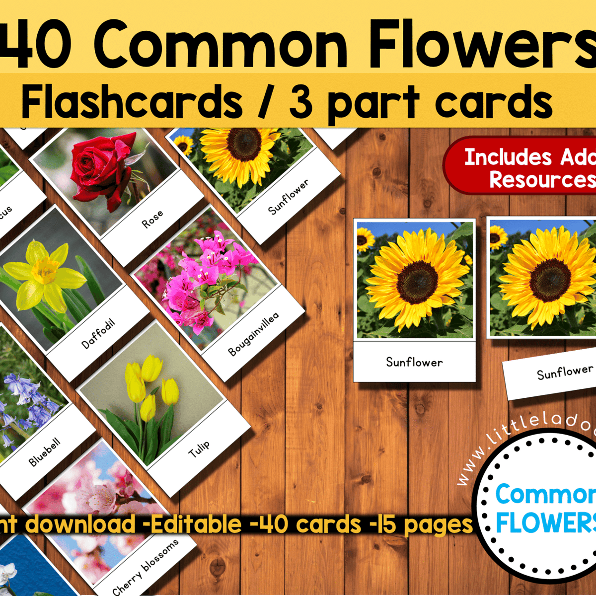 Flower Flashcard Printable – LittleLadoo