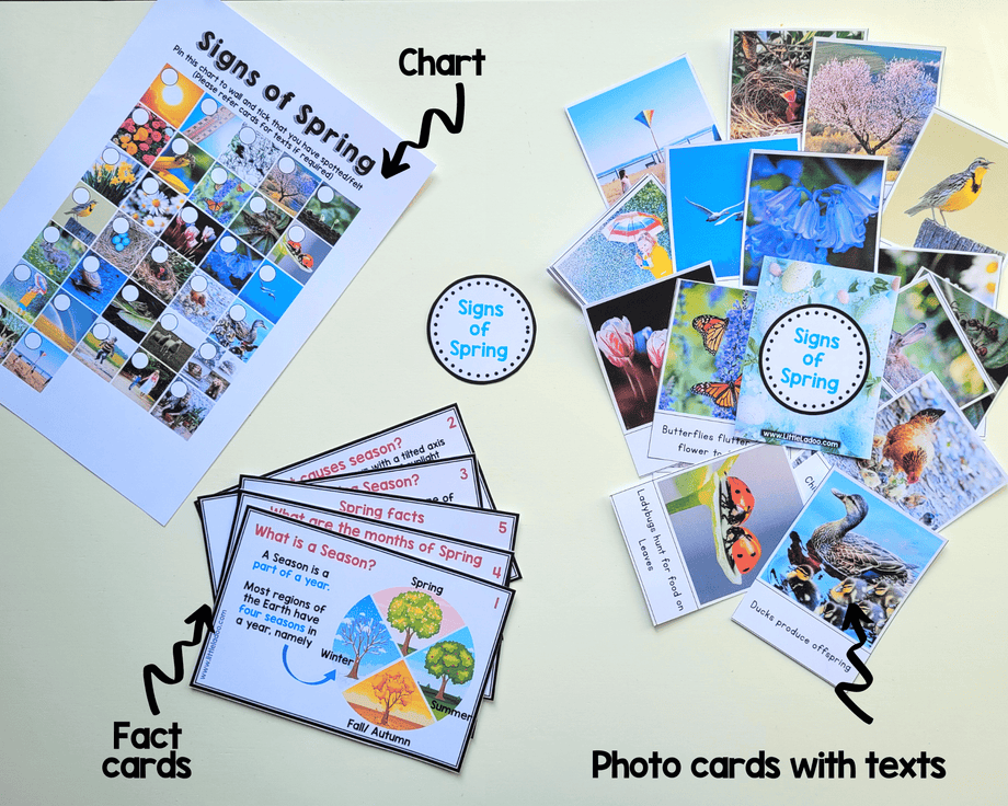 Flashcards / 3 Part cards – LittleLadoo
