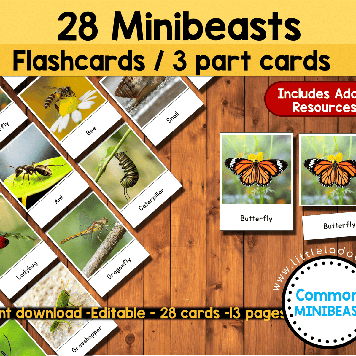 MiniBeasts Flashcard Printable – LittleLadoo
