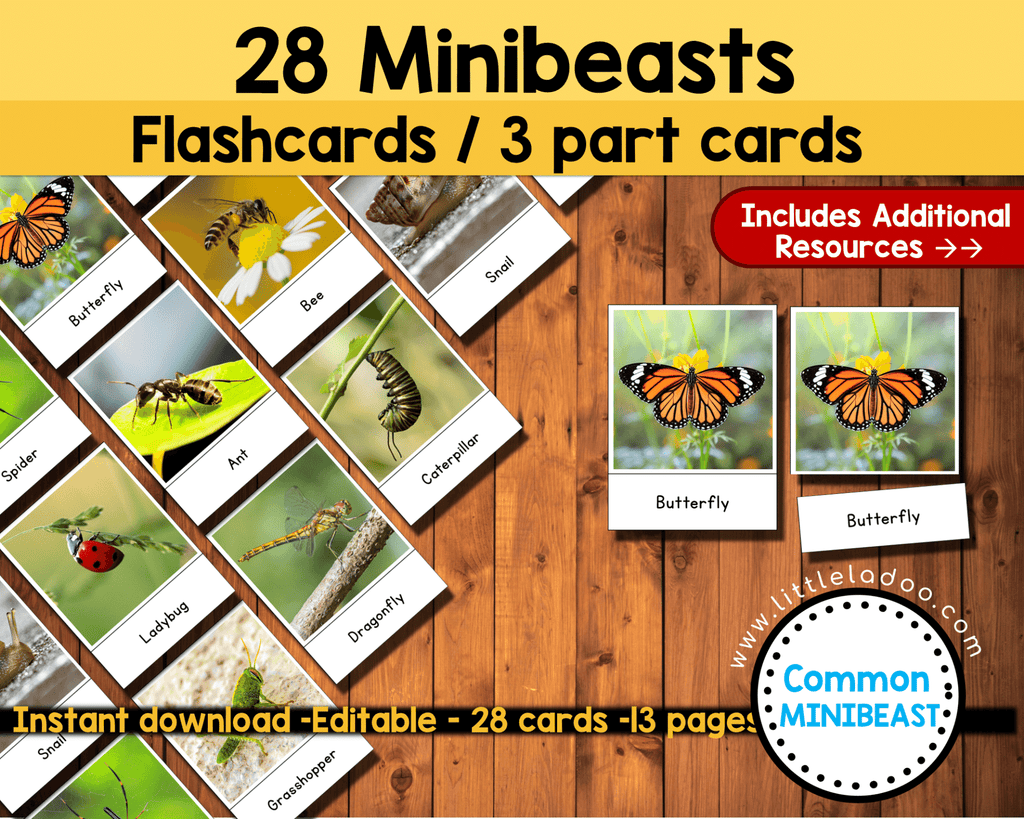 MiniBeasts Flashcard Printable – LittleLadoo